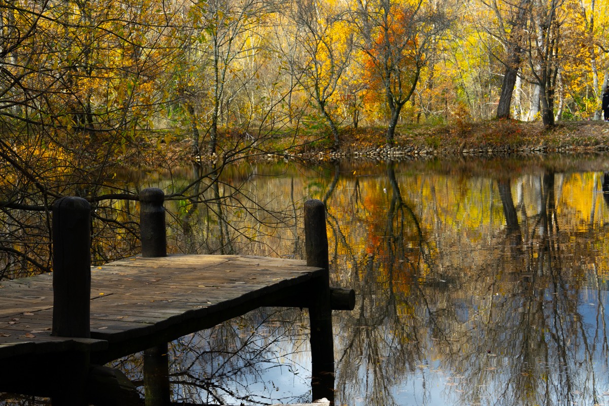 El bosque de Finlandia en Rascafría - Vagamundos Viajeros