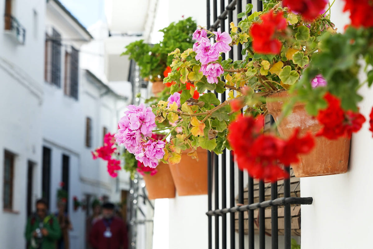 10 destinos nacionales para viajar en primavera - Vagamundos Viajeros