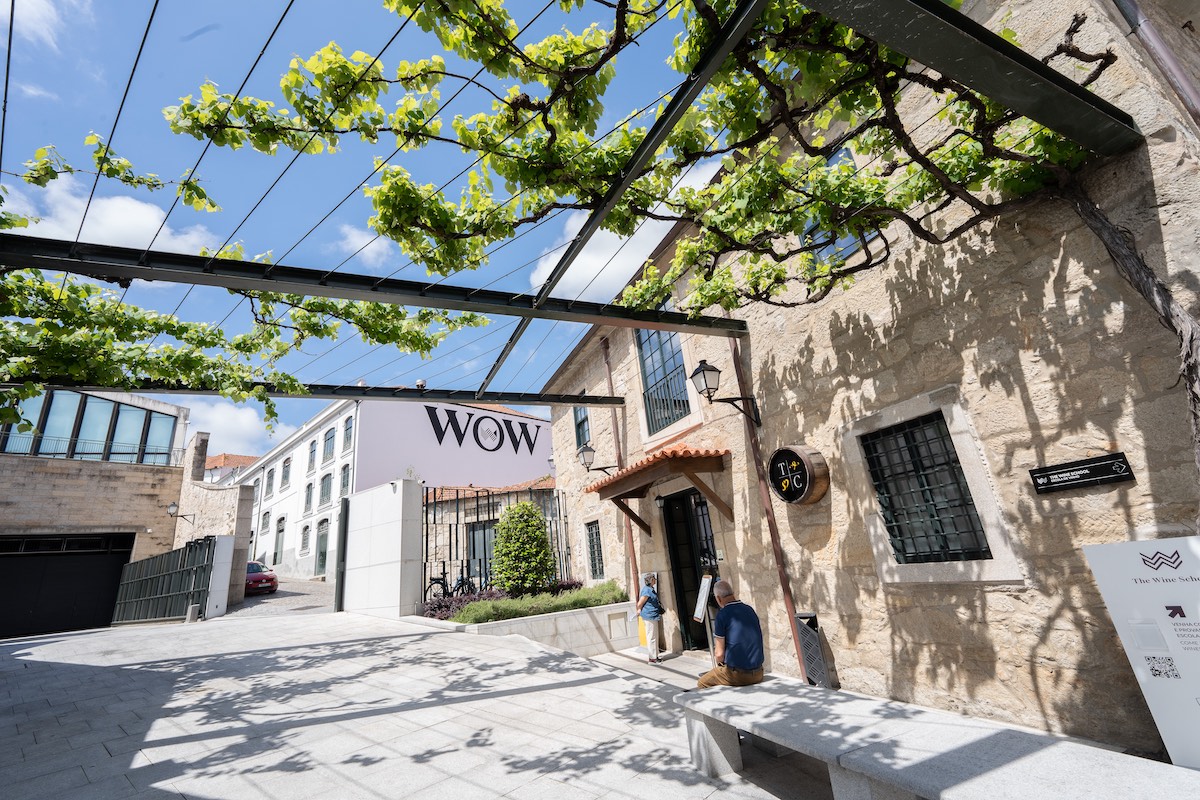 Bienvenidos al maravilloso mundo del vino: WOW Porto - Vagamundos Viajeros